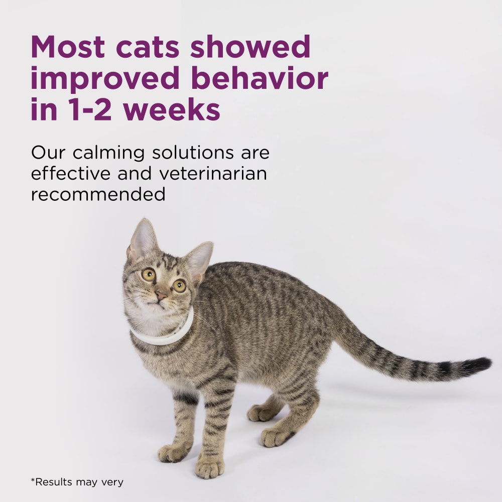 Comfort Zone Calming Collar | Comfort Zone