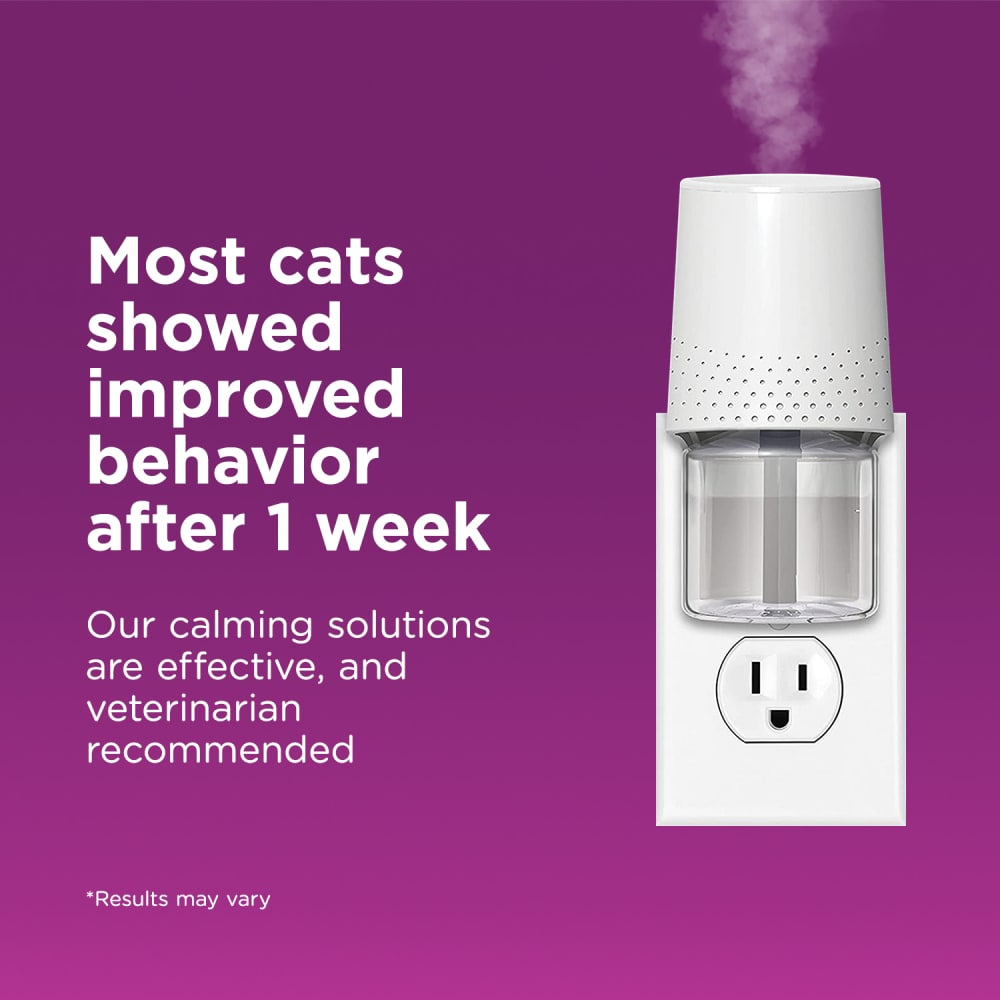 Cat Calming Products - Scratching & Urine Marking | Comfort Zone Cat Calming Products - Scratching & Urine Marking | Comfort Zone